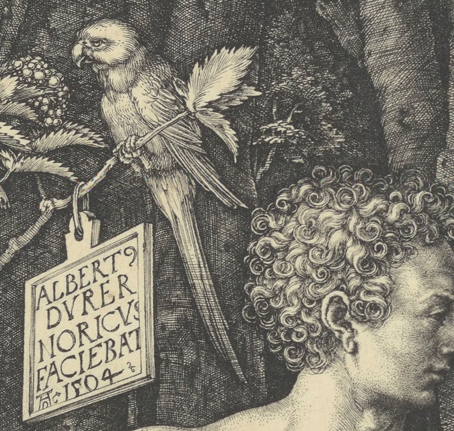 Albrecht Durer ADAM and EVE - Copper-plate Engraving 1504 - Digital ...