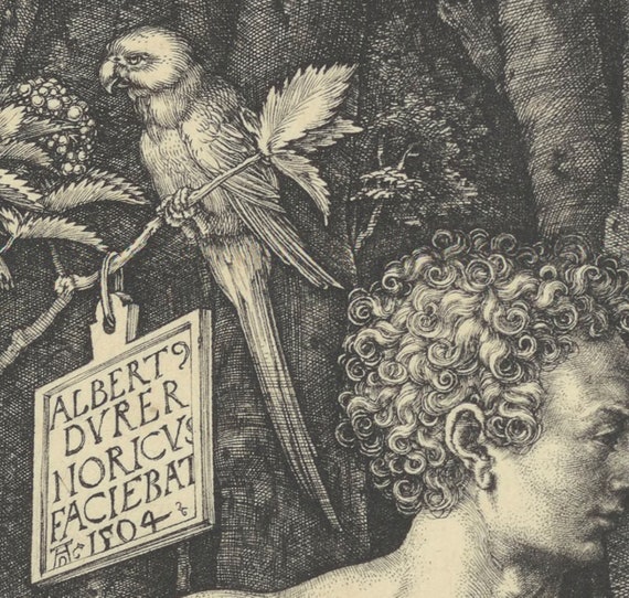 Adam And Eve Durer