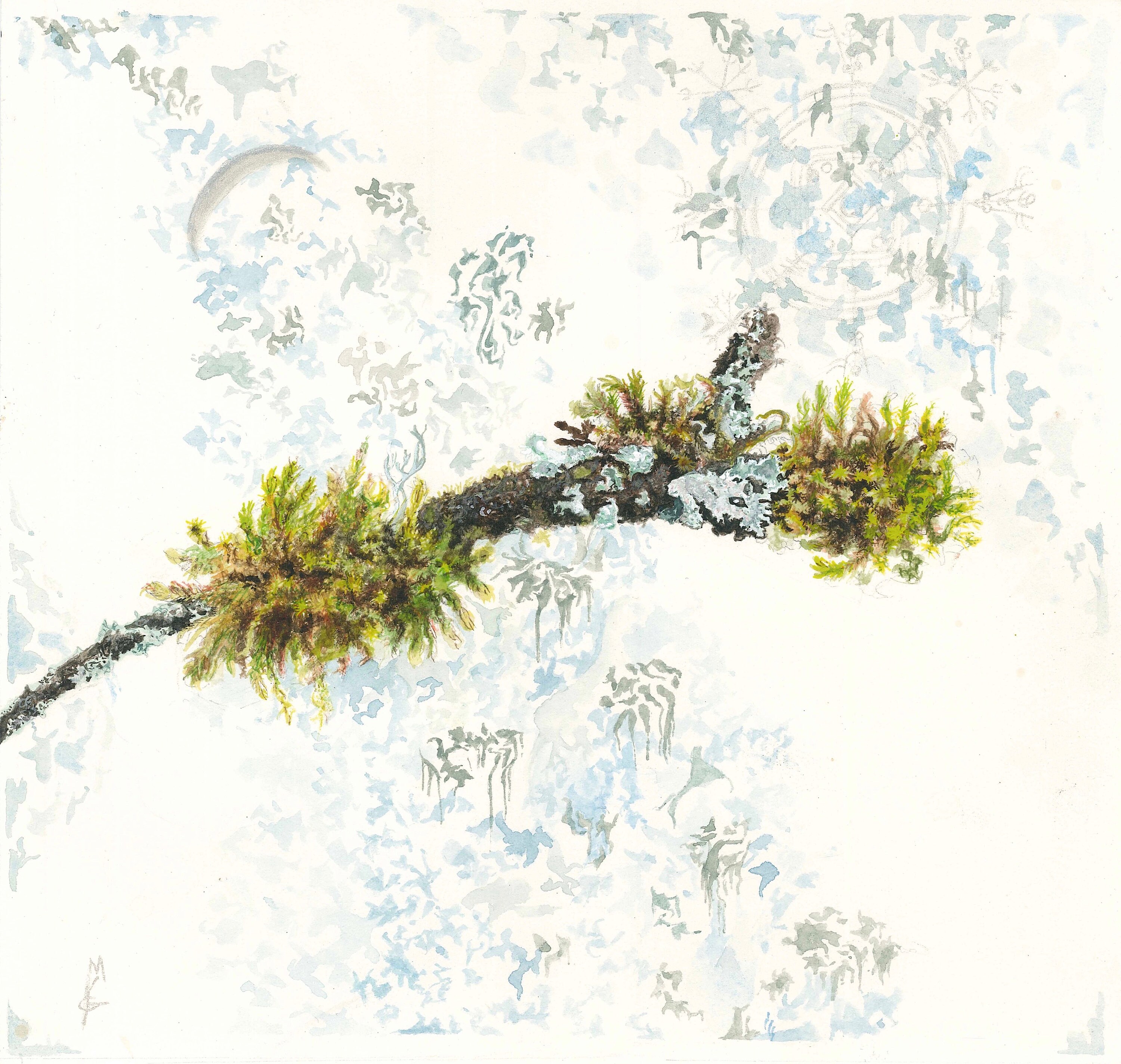 Invisibility Spell - Fine Art Print - Etsy