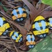 Bumblebee Painted Rocks - Etsy