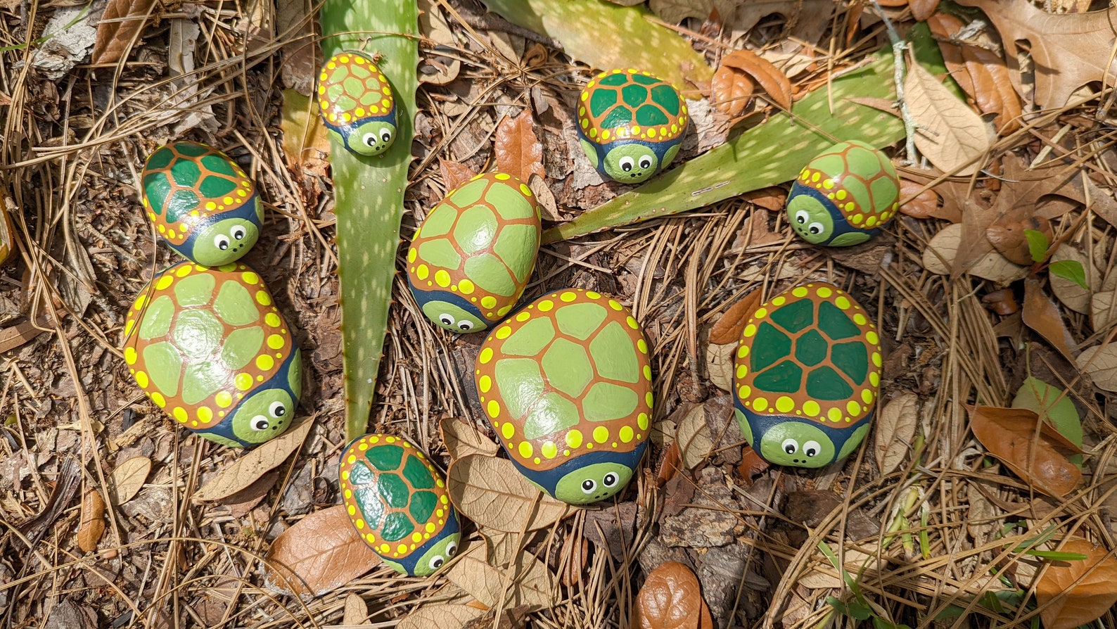 Turtle Painted Rocks - Etsy