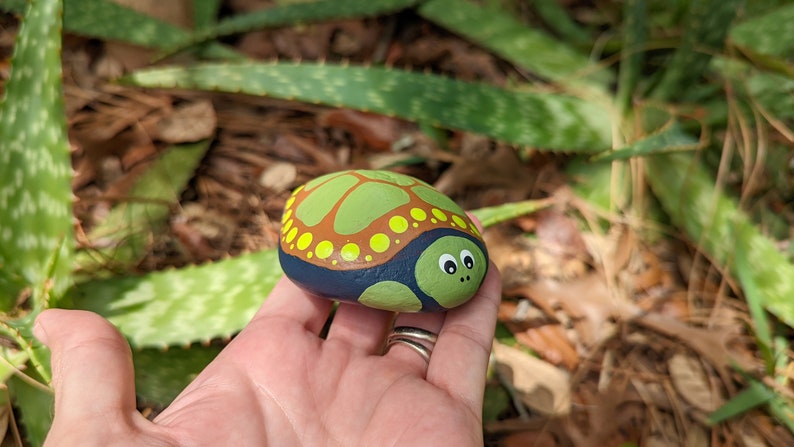 Turtle Painted Rocks - Etsy