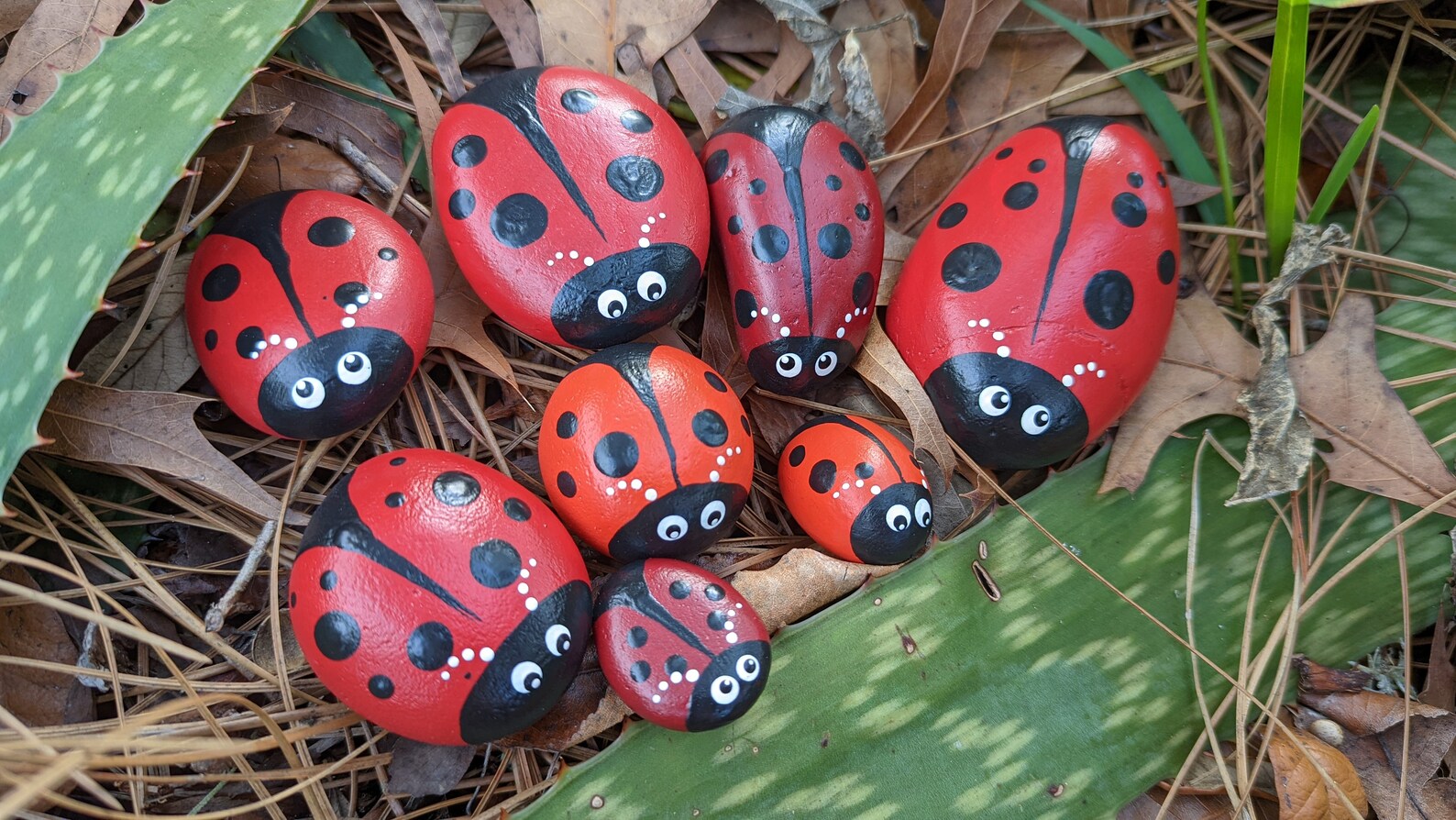 Ladybug Painted Rocks - Etsy