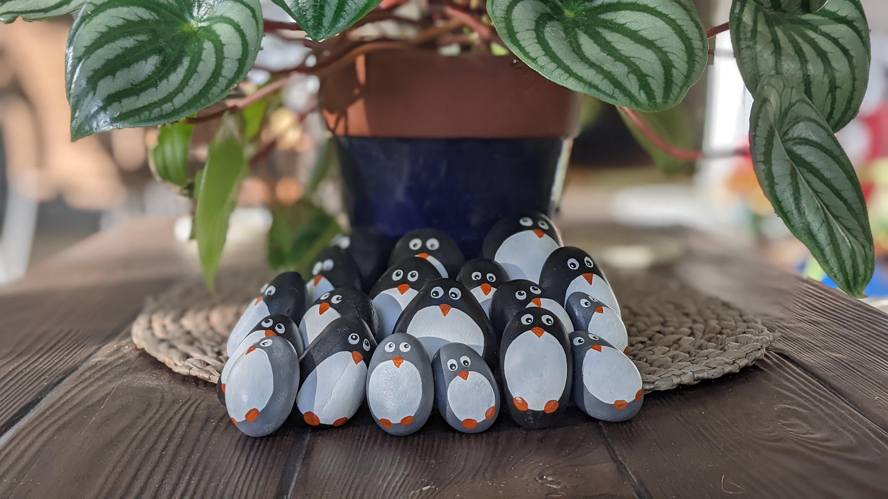 Penguin Painted Rocks - Etsy