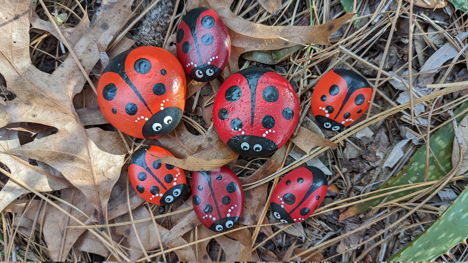 Ladybug Painted Rocks - Etsy