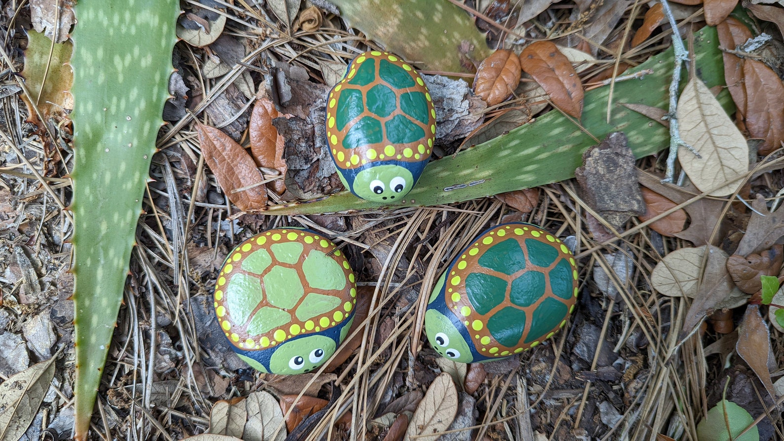 Turtle Painted Rocks - Etsy