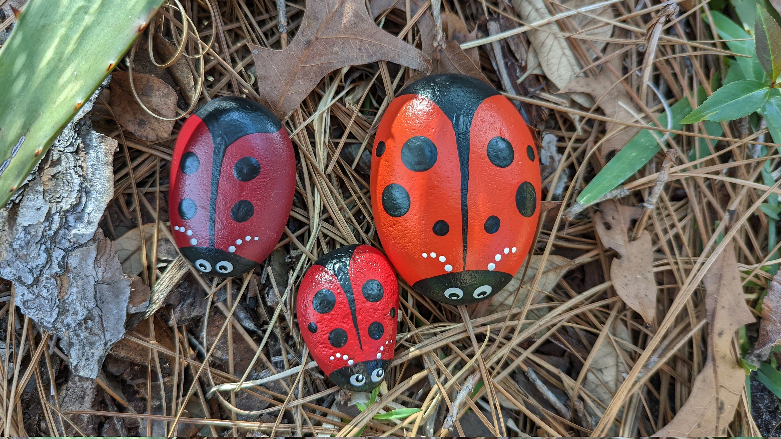 Ladybug Painted Rocks - Etsy
