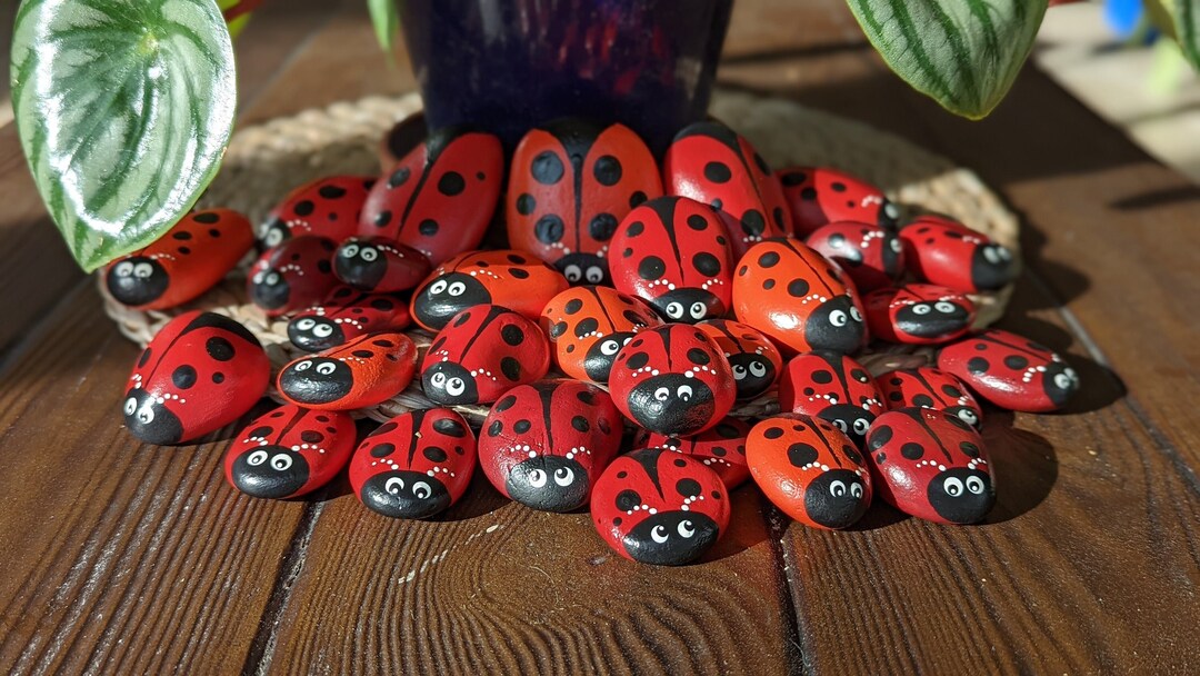 Ladybug Painted Rocks - Etsy