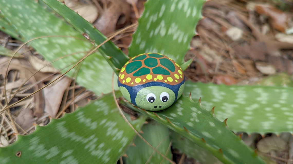 Turtle Painted Rocks - Etsy