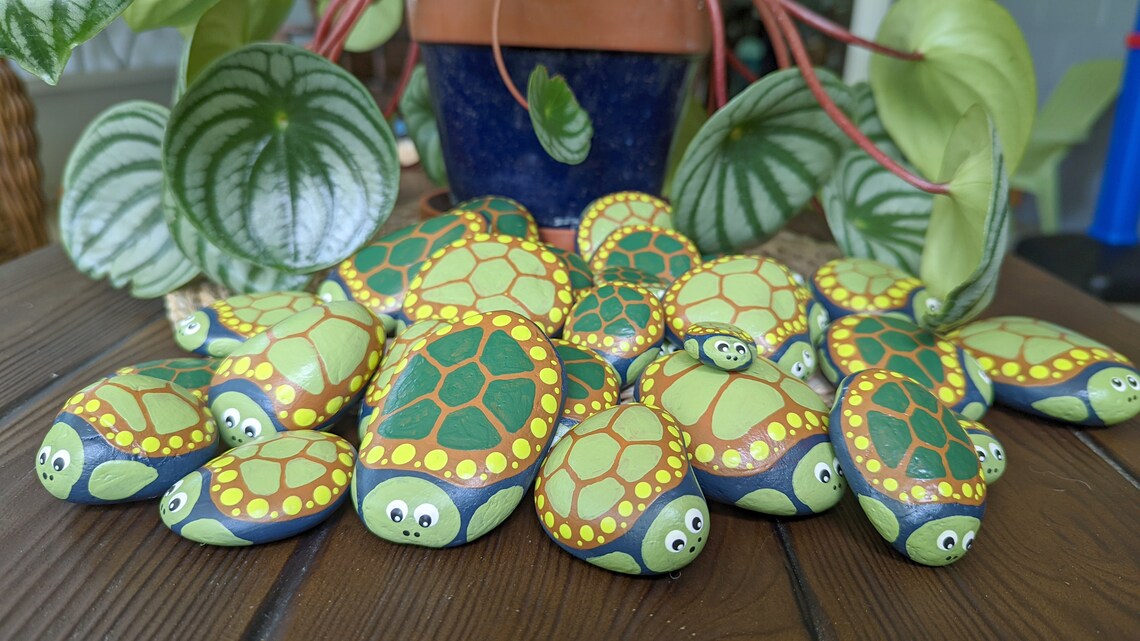 Turtle Painted Rocks - Etsy