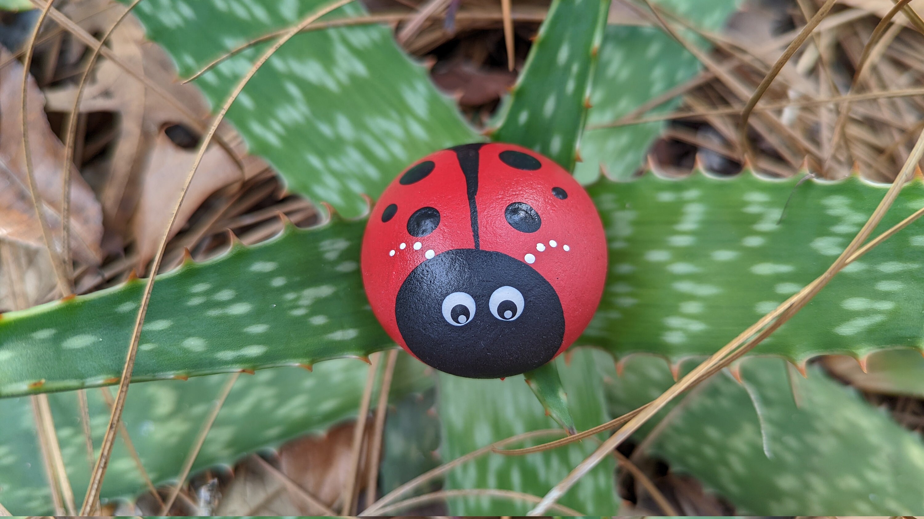 Ladybug Painted Rocks - Etsy