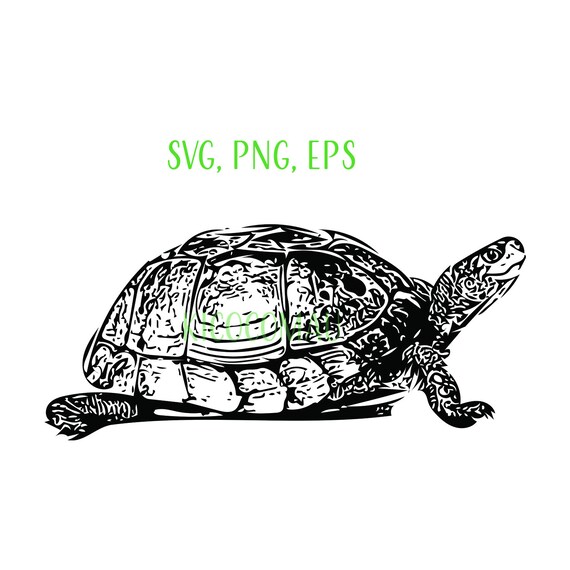 Turtle Vector Turtle SVG - Etsy