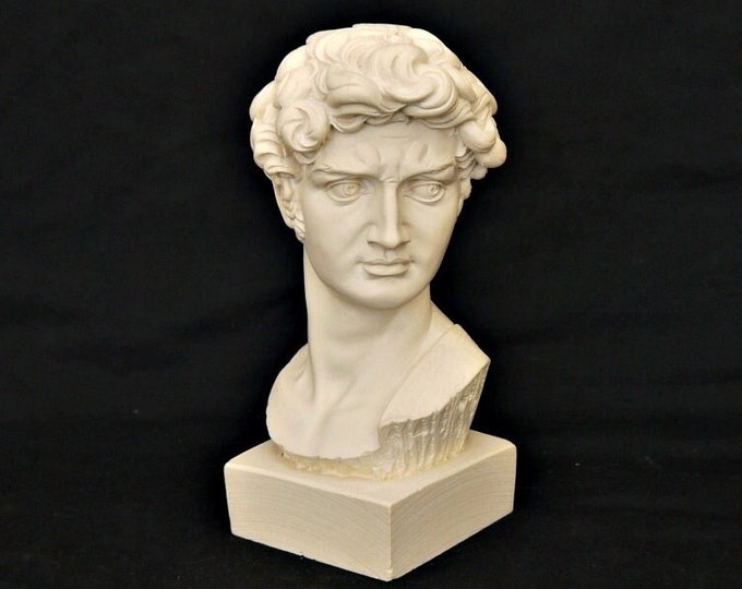 Bust David Alabaster Sculpture Head Michelangelo’s David Vintage Statue ...