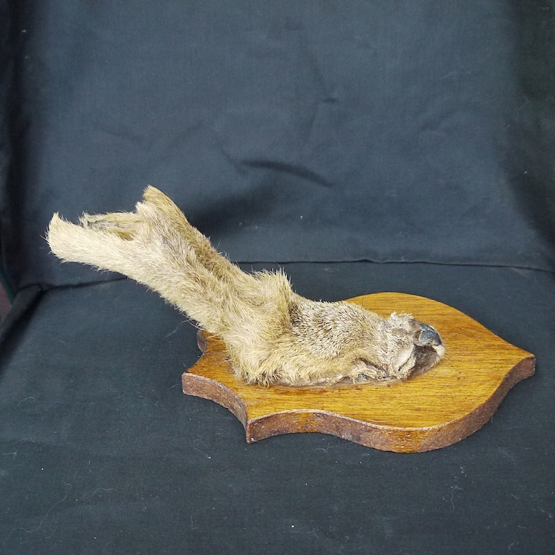 Trophy Shield - Etsy UK