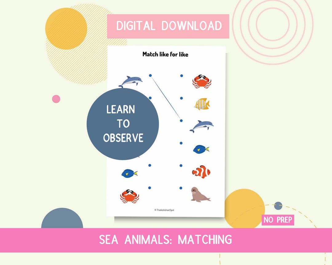 Sea Animals – Match Similar Things Digital Download Matching Activity ...