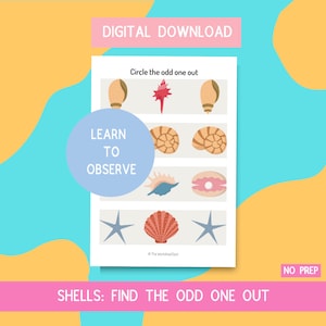 Find Odd One Out-shells- Digital Download Pattern Recognition Worksheet ...