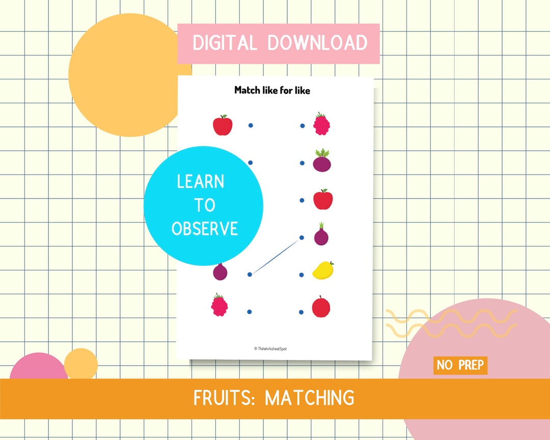 Match Similar Things-fruits- Digital Download Matching Activity ...