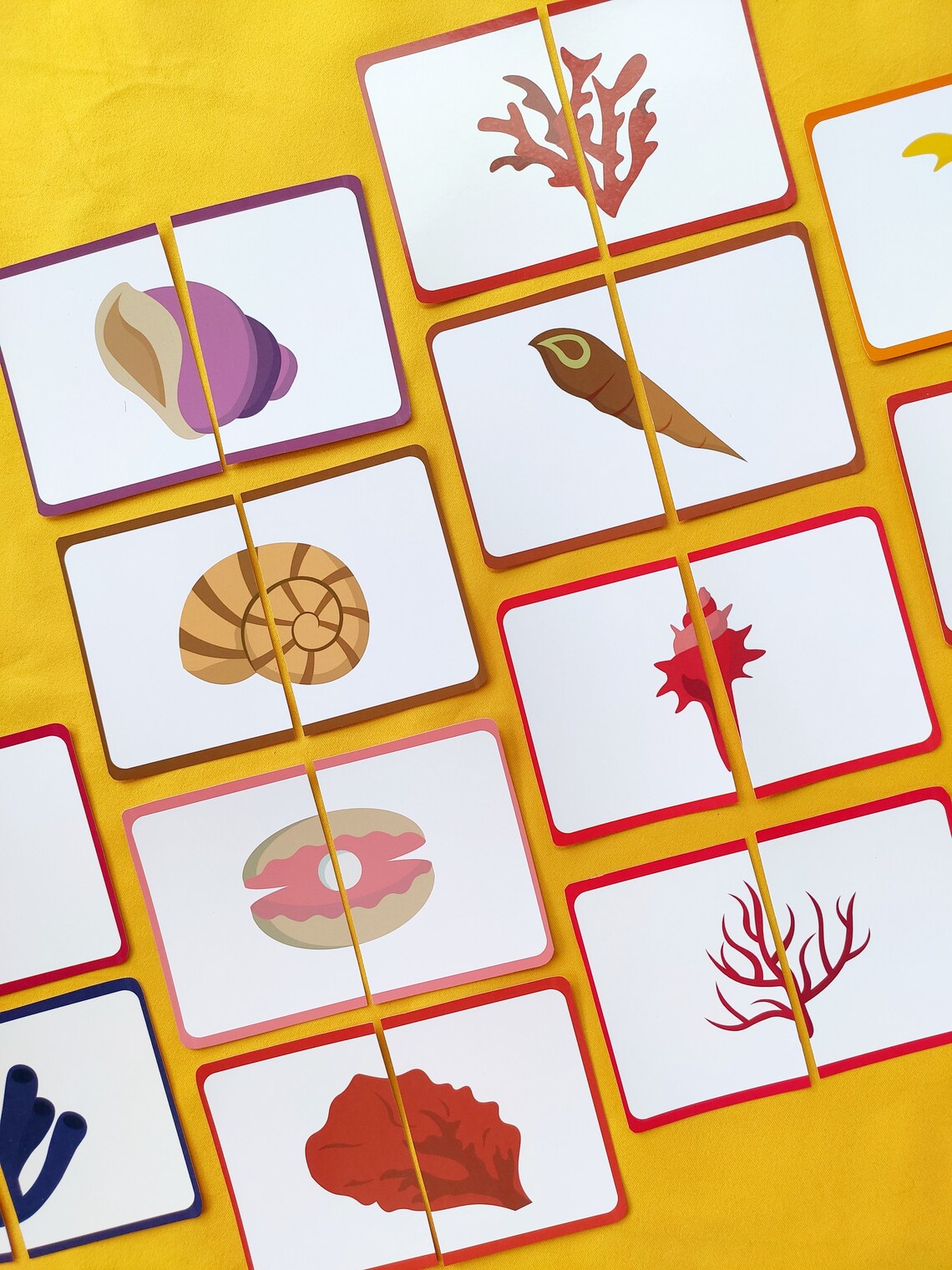 12 Symmetry Match Flashcards seashells Digital Download Educational ...