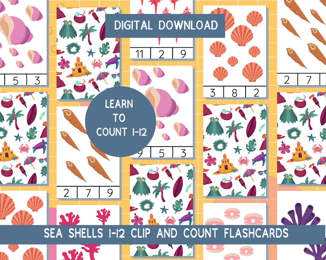 Count to 12 Numbers Flashcard sea Shells Digital Download Counting ...