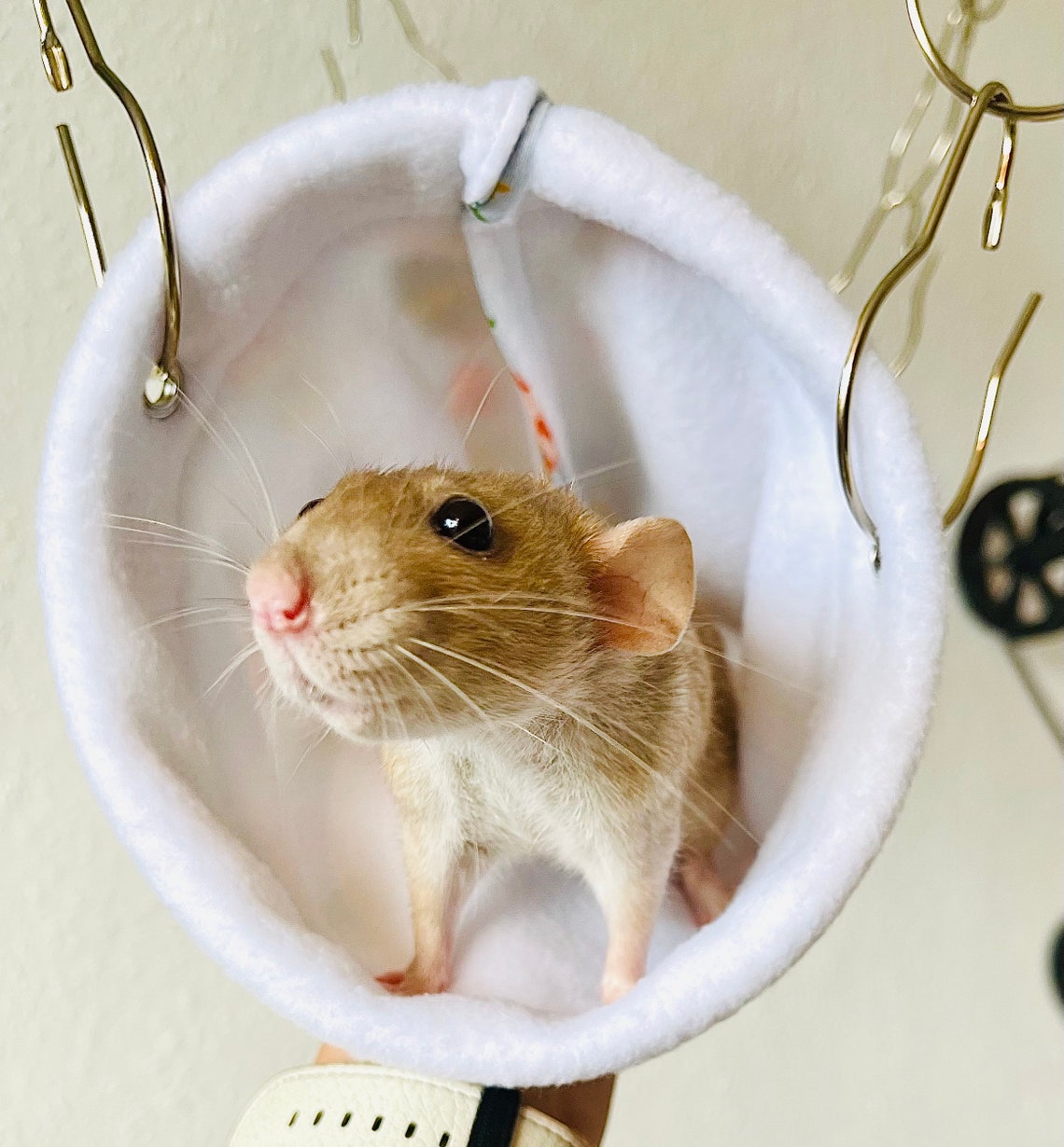 Rat Tunnel Rat Tube Rat Hammock Rat Cage Accessories Rat - Etsy