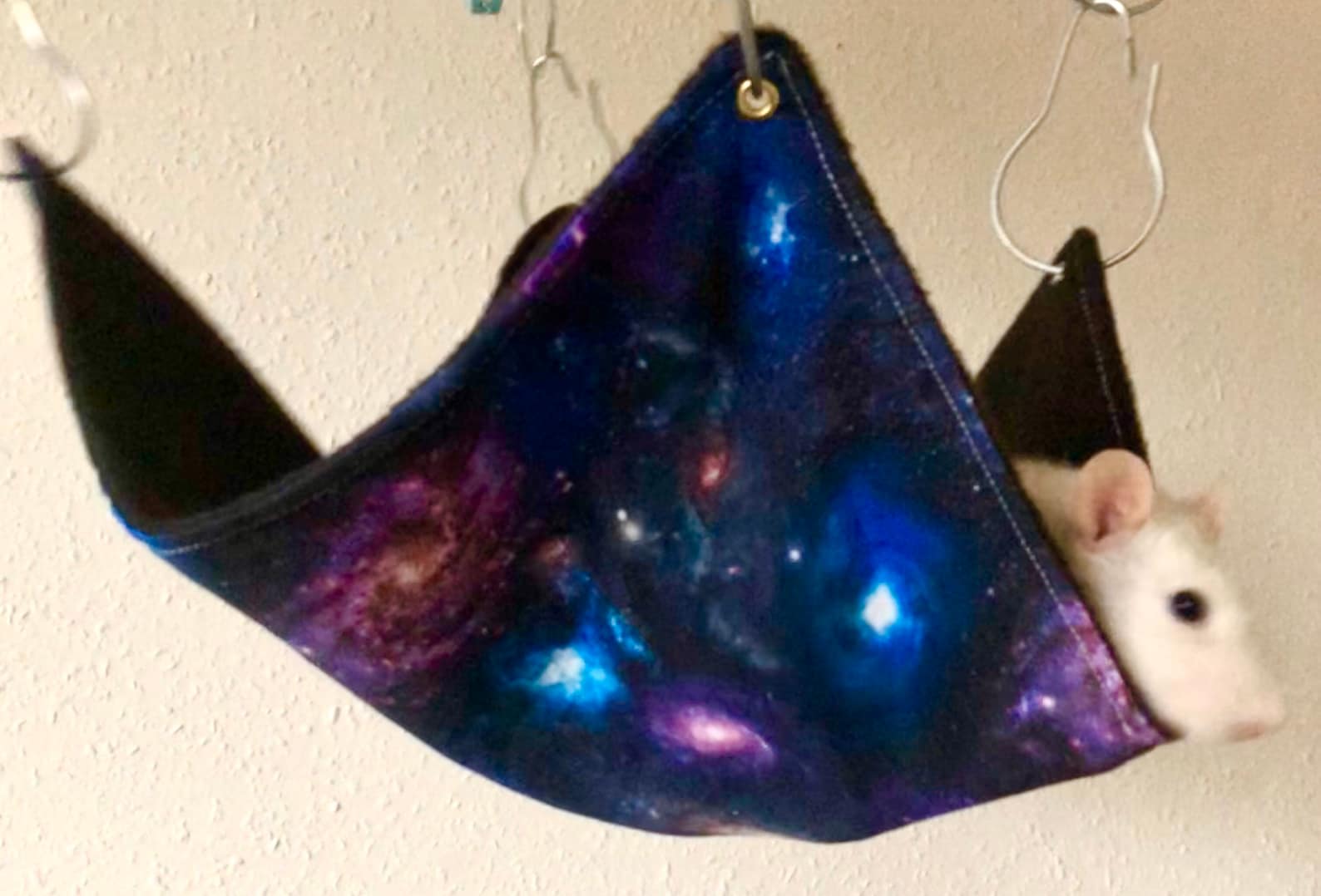 Galaxy Rat Hammock Rat Hammocks UK &International Rat Bed | Etsy