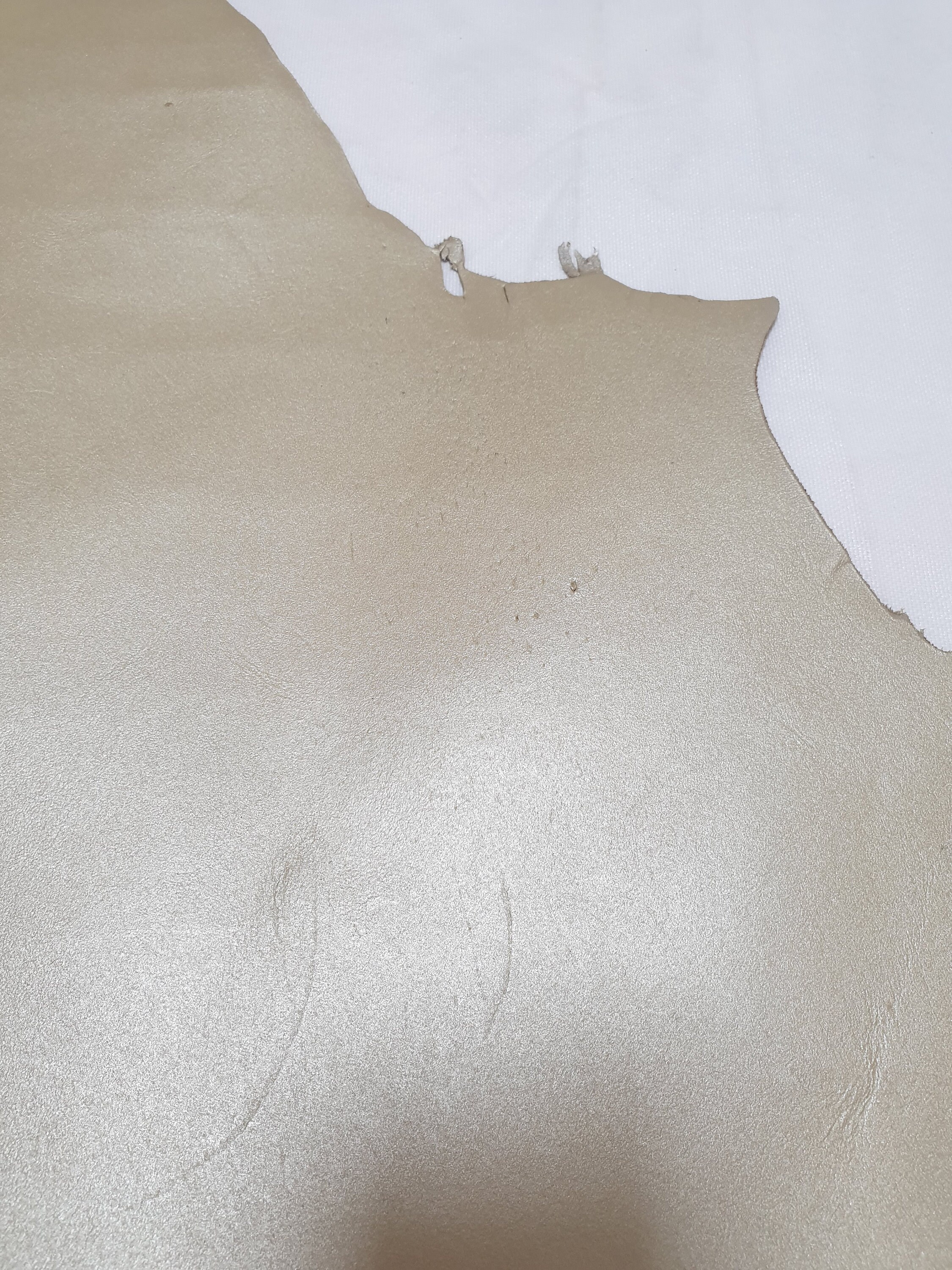 Pearlescent Pale Gold Chrome Tan Kangaroo Leather Hide. Whole - Etsy Canada