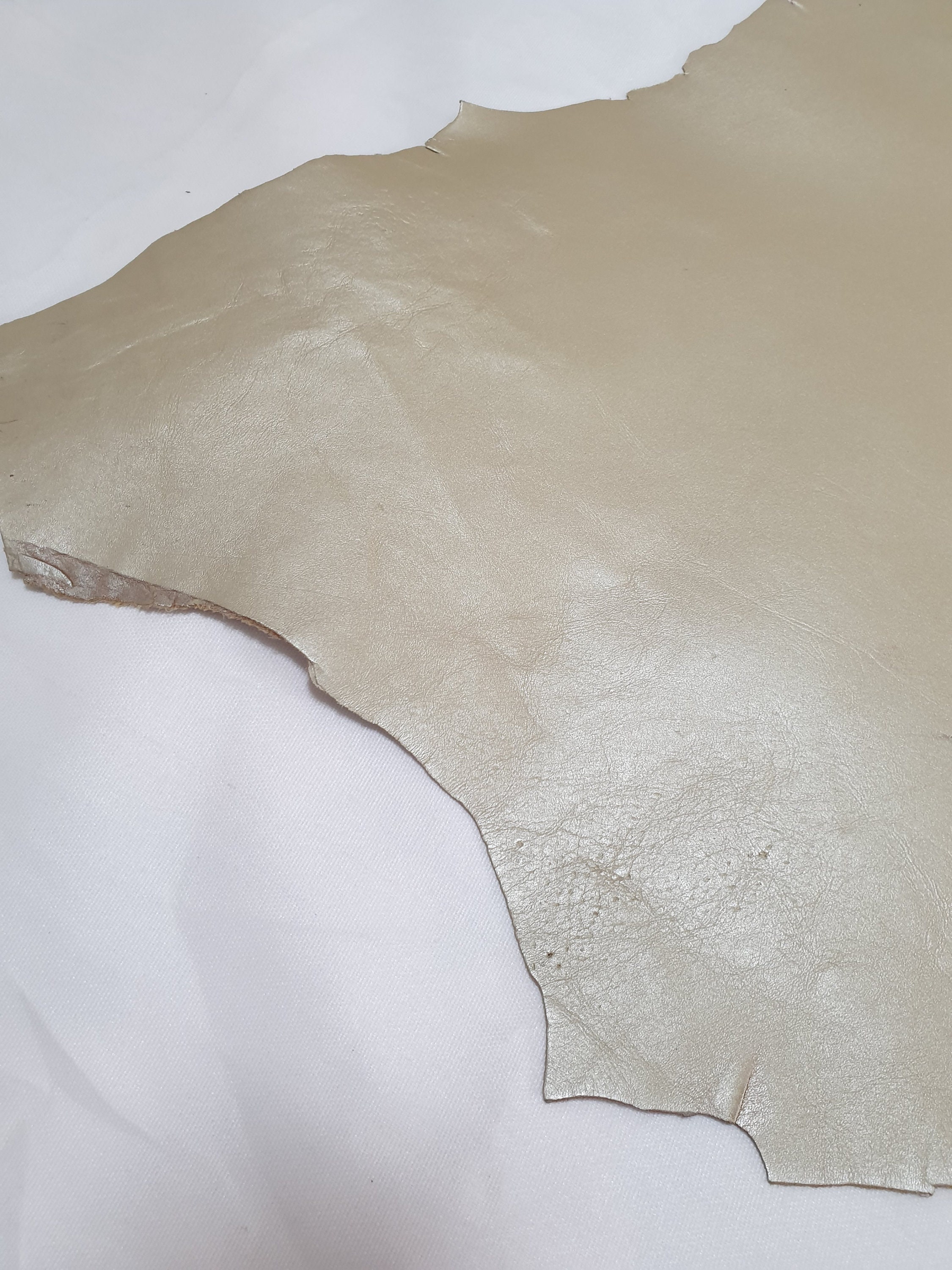 Pearlescent Pale Gold Chrome Tan Kangaroo Leather Hide. Whole - Etsy Canada