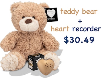 Voice Teddy Bear - Etsy