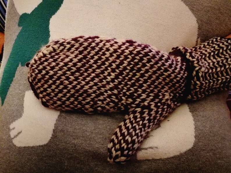 Ellen's Newfoundland Mittens Pattern - Etsy Canada