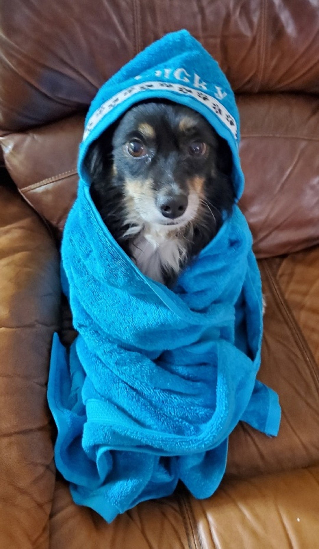 Personalized Dog Towel With Hood Large Dog Bath Towel Pappy Towel ...