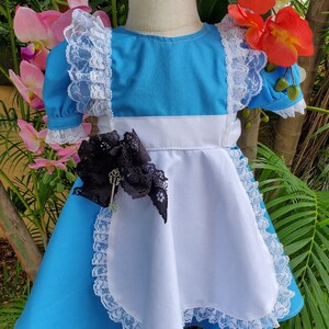 Girl Dress Alice in Wonderland Dress Alice in Wonderland Birthday ...