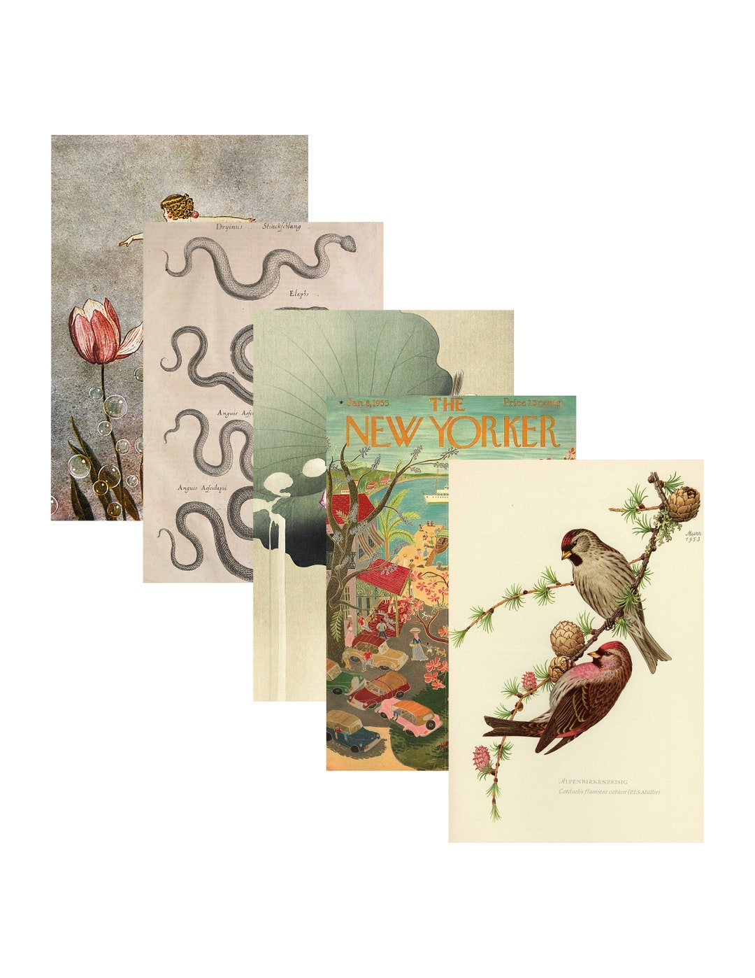 Cottage-core Vintage Poster Pack (84 Pieces) Digital Download Aesthetic ...