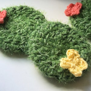 Cactus Dish Scrubby Pattern, Crochet Pattern, Crochet Scrubby, Beginner ...