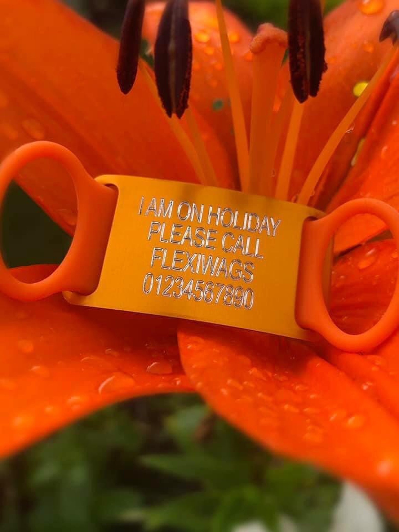 Flexitags Large Fully Anodised Aluminium Slide on Pet Tags - Etsy UK