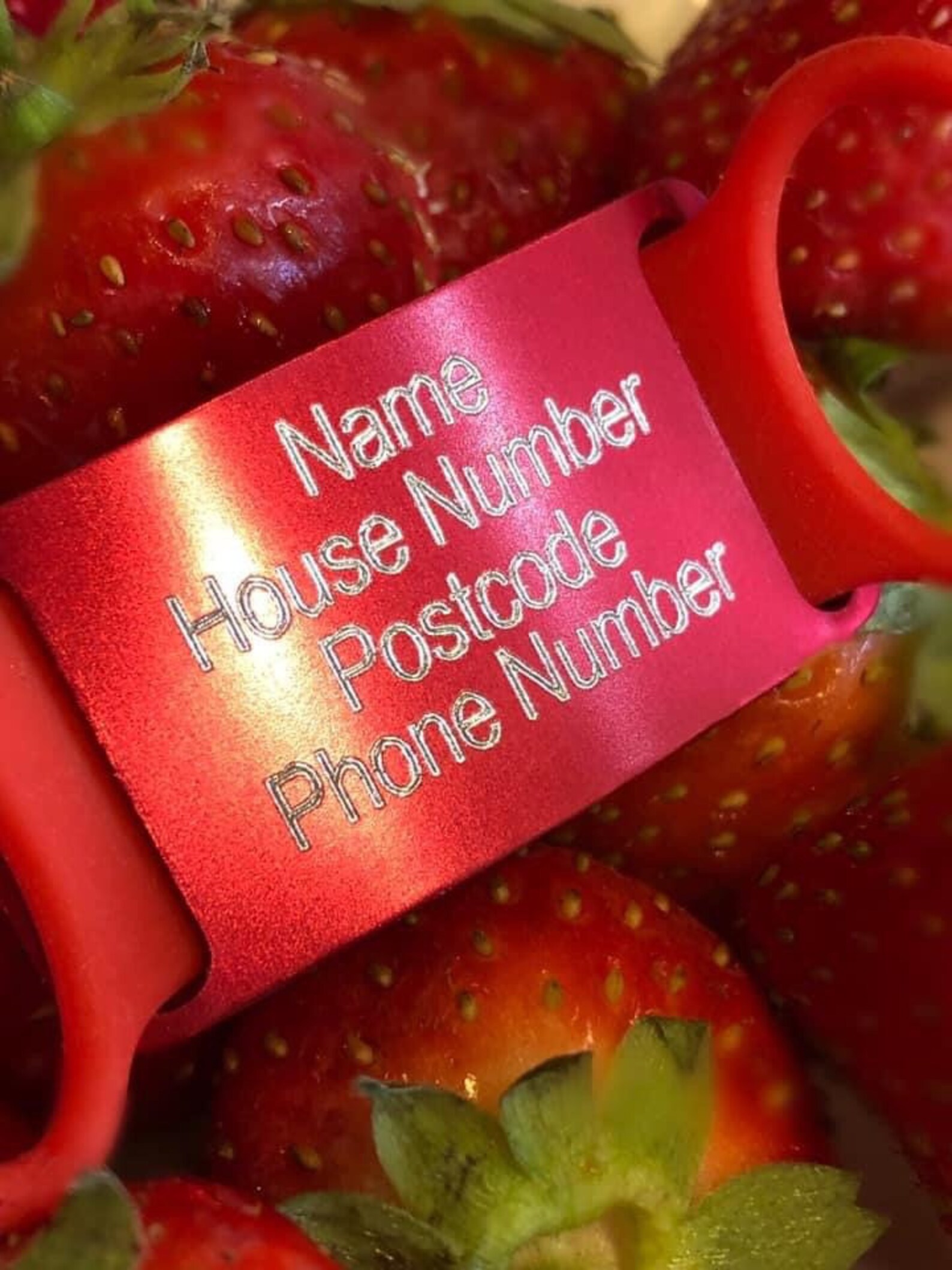 Flexitags Large Fully Anodised Aluminium Slide on Pet Tags - Etsy UK