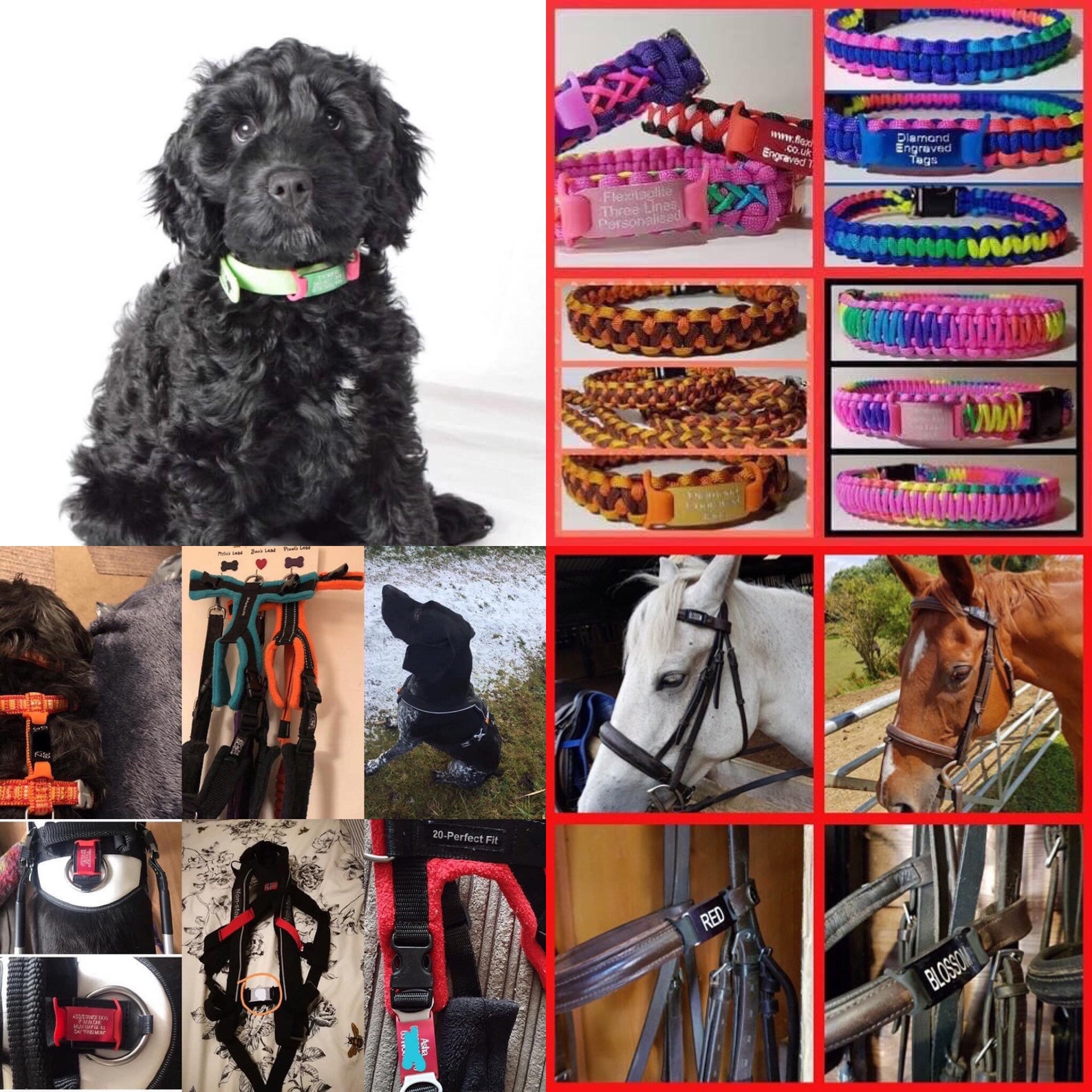 Flexitags Large Fully Anodised Aluminium Slide on Pet Tags - Etsy UK