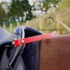 Saddle Grab Strap | Black Biothane | Balance Strap | Horse Riding ...