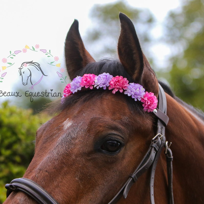 Hot Headstalls Tack - Etsy