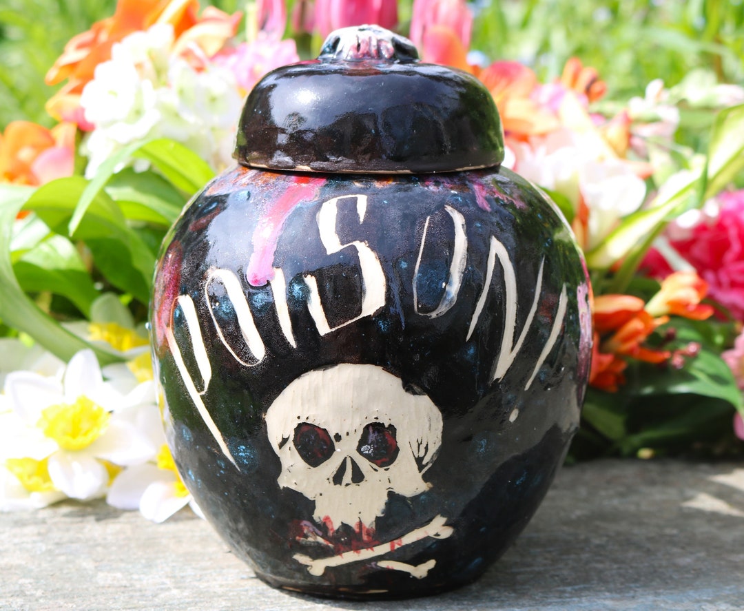Hand Made Skull Vase With Lid, Poison Vase, Poison Bottle, Poison Jar ...