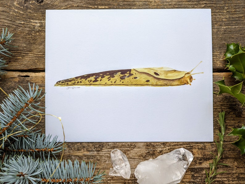 Slug Watercolor Art Print - Etsy