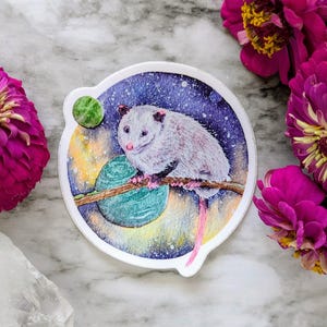 Opossum Vinyl Sticker - Etsy