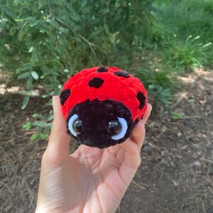 Ladybug Crochet Plushie - Etsy