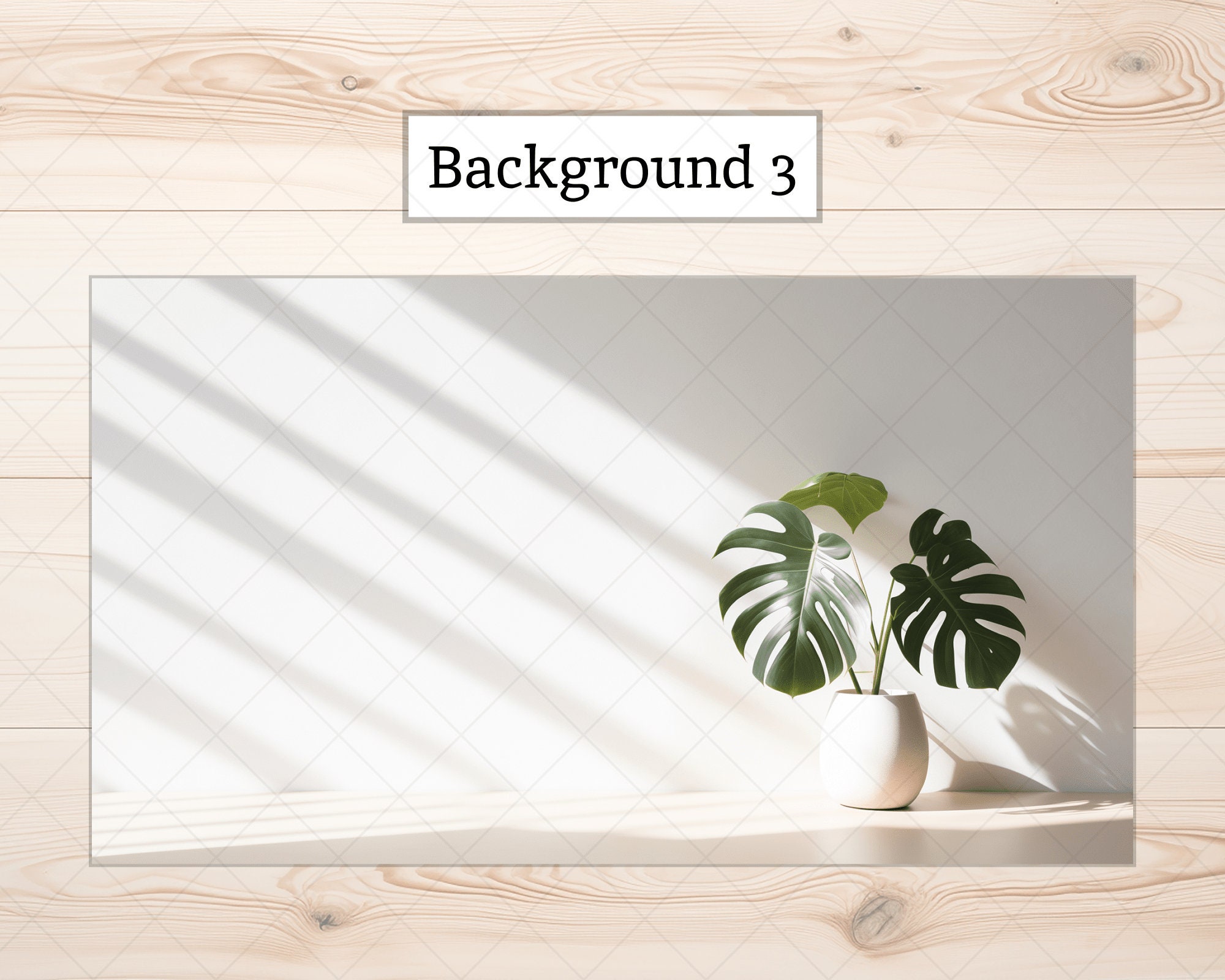 Minimalist Monstera 4in1 Zoom Background Virtual Meeting - Etsy