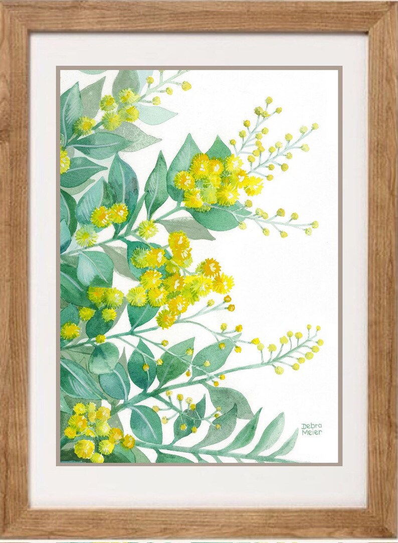 Australian Wattle Wattle Wall Art Australian Native Art | Etsy