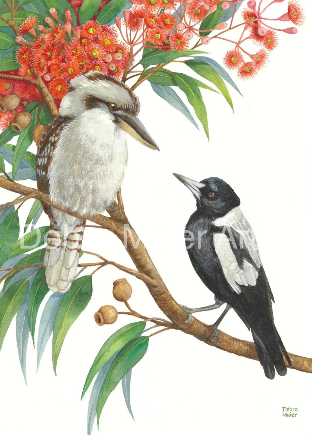 Kookaburra and Magpie Print by Debra Meier Art, Native Bird Print ...