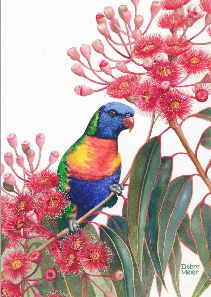 Parrot watercolour trio Australian native birds & flowers | Etsy