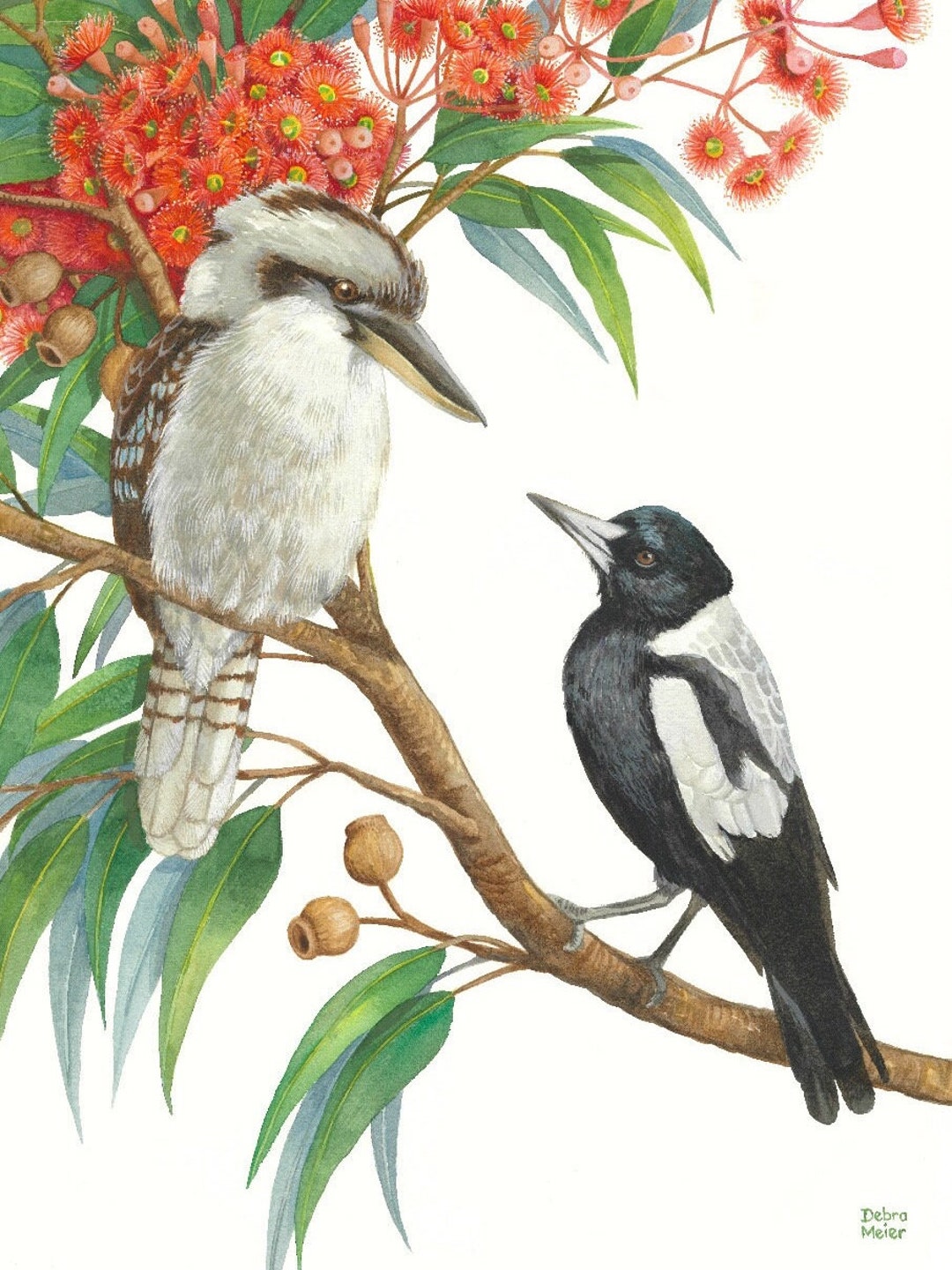 Kookaburra and Magpie Print by Debra Meier Art, Native Bird Print ...