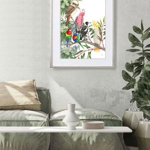 Bird Native Varieties Print by Debra Meier Art, Kookaburra, Galah ...