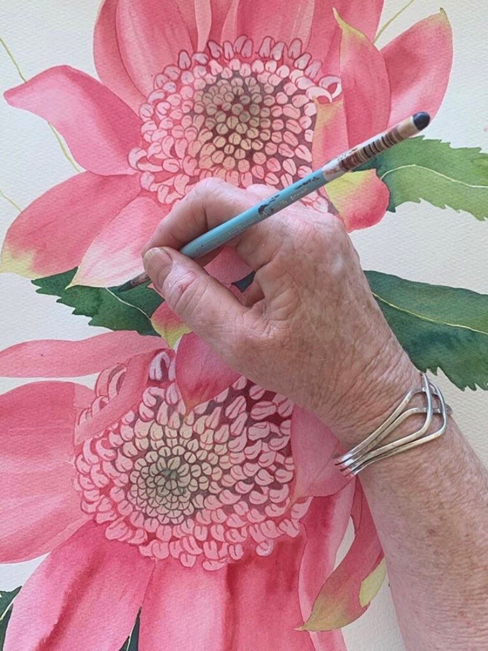 Waratahs Two Pink Print by Debra Meier Art,australian Native Art Print ...