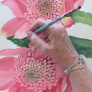 Waratahs Two Pink Print by Debra Meier Art,australian Native Art Print ...